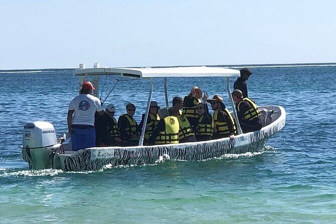 Small-Group Mesoamerican Barrier Reef Snorkeling in Puerto Morelos - Who Is This Tour Best Suited For?