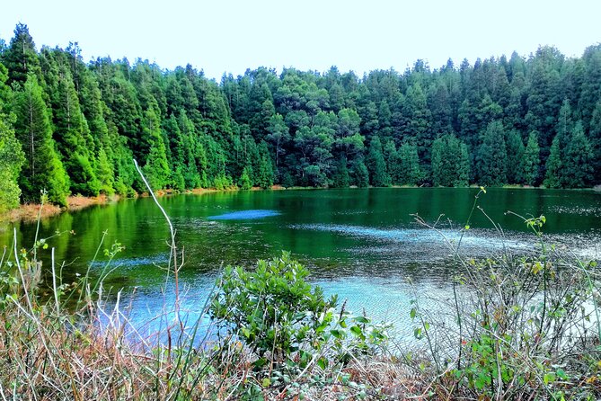 Small Group Minivan Half Day Sete Cidades Crater Tour - Geologic History of the Açores