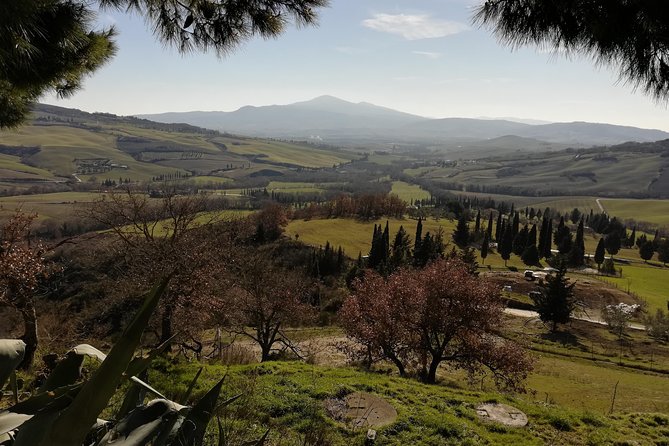 Small-Group Montepulciano and Pienza Day Trip from Siena - FAQ