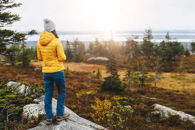 Small-Group Moose Wild Safari from Rovaniemi - Final Thoughts: Who Should Consider This Tour?