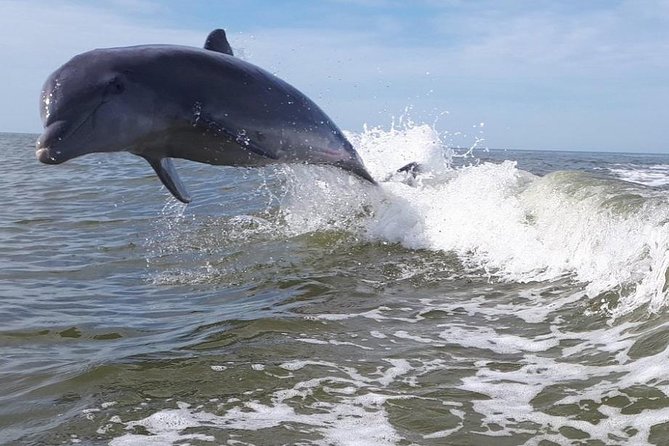 Small Group Motorboat Eco Tour of the Everglades - FAQ