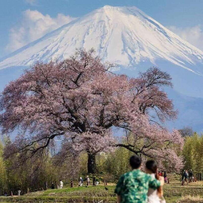 Small Group Mt.Fuji,Lake Kawaguchi&Yamanaka HotelPickup Opt - Who Will Love This Tour?