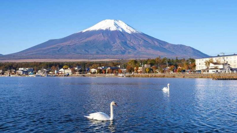 Small Group Mt.Fuji,Lake Kawaguchi&Yamanaka HotelPickup Opt - FAQ