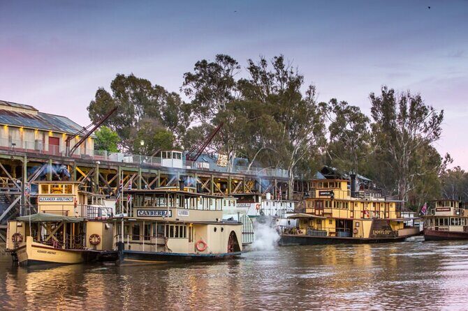 Small-Group Murray River Adventure - Paddle Steamer & Wildlife - Key Points