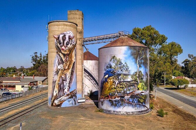 Small-Group Murray River Adventure - Paddle Steamer & Wildlife - An In-Depth Look at the Tour Experience