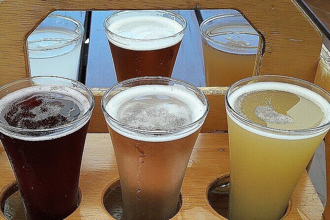 Small group - Napier, Wine, Beer & Cider Tour - 5.0 - 5.5 hours - Practical Tips for Future Travelers