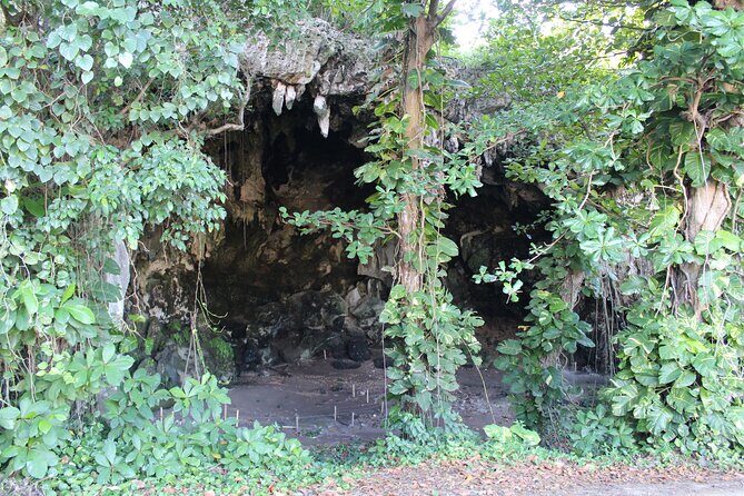Small-Group North Coast Beach Hopping Adventure in Puerto Rico - Discovering Puerto Rico’s Northern Beaches