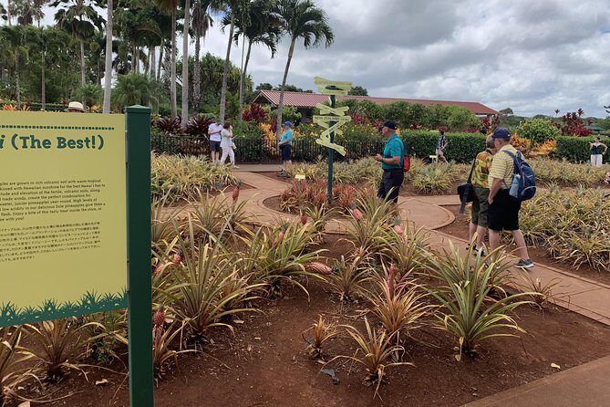 Small Group-Oahu Tour, Dole Plantation, Northshore, Sunset Beach - FAQs