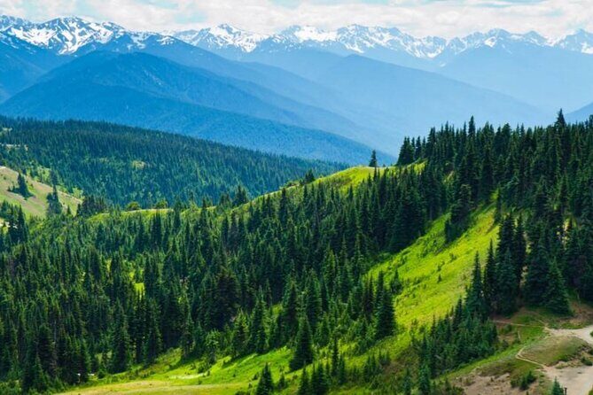Small Group Olympic National Park Day Tour from Seattle 2CanGo - Introduction