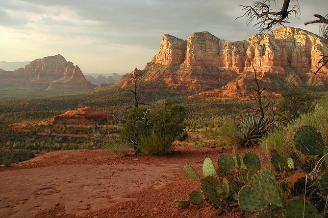 Small Group or Private Sedona and Native American Ruins Day Tour - Why the Tour Delivers Value