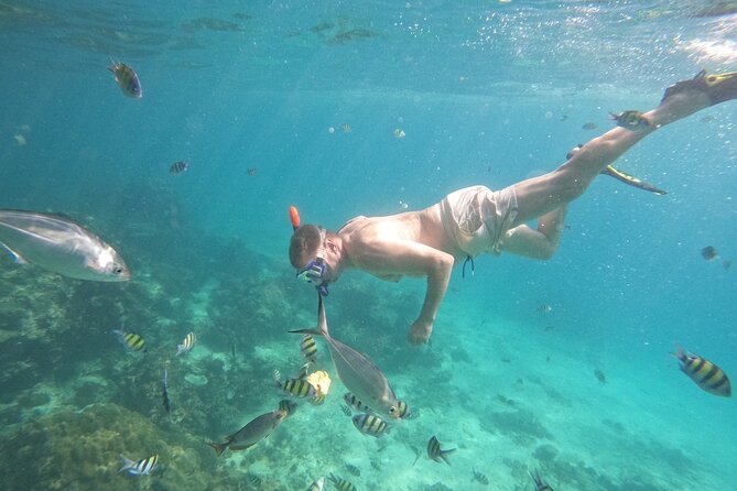 Small Group Phi Phi Islands Sunrise Tour with Seaview Lunch - What Travelers Love — and What to Consider