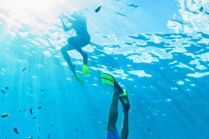 Small Group Phi Phi Maya Bay & Khai Islands Great snorkeling - Price and Value for Money