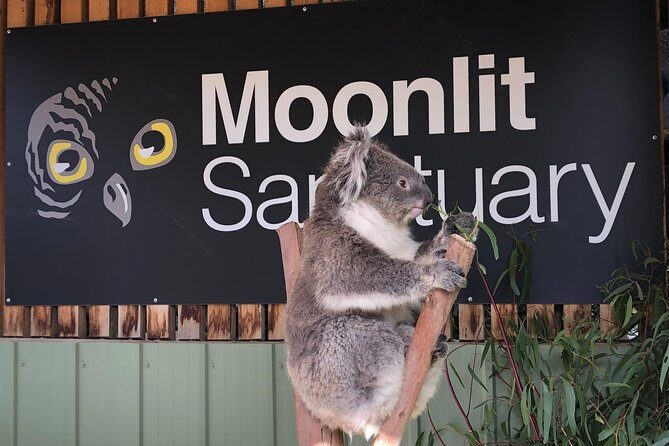 Small-Group Phillip Island Afternoon Day Trip from Melbourne - Final Thoughts
