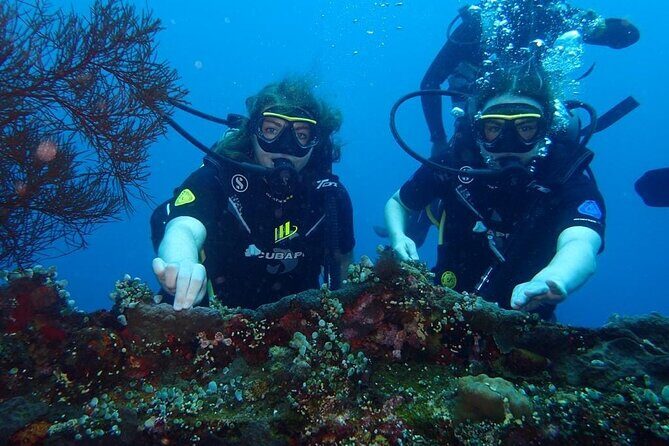 Small Group Private 3 Dives in Tulamben Best Spot - Final Thoughts