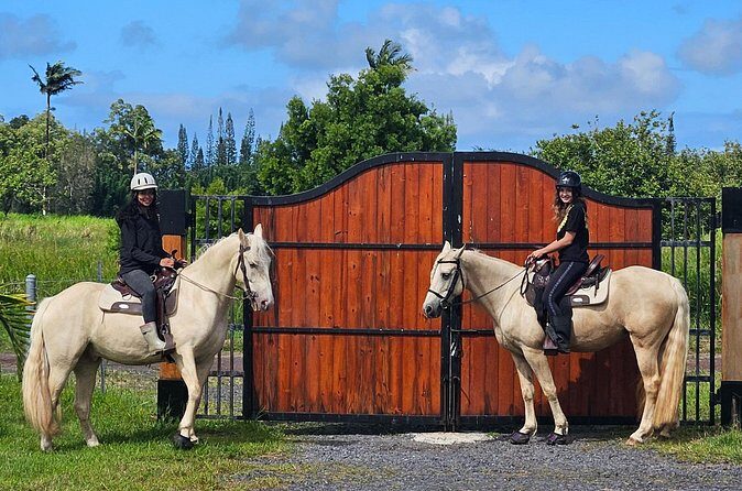 Small Group Rainforest Trail Ride - The Practical Side: Timing, Price, and Booking