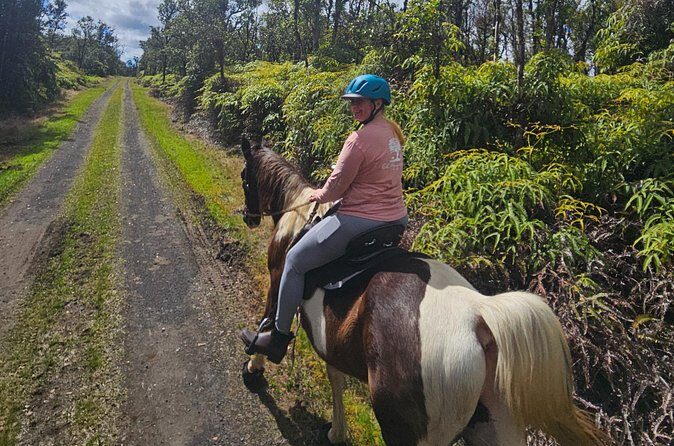 Small Group Rainforest Trail Ride - What Past Travelers Say