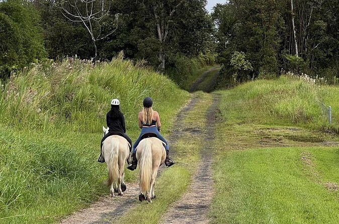 Small Group Rainforest Trail Ride - The Sum Up: Is This Rainforest Trail Ride Worth It?