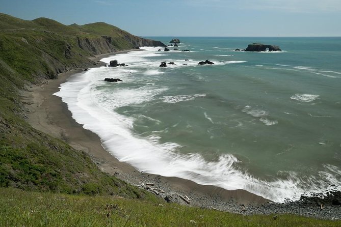 Small Group Redwoods, California Coast & Sausalito Day Trip from San Francisco - The Practical Side: Transportation, Guides, and Group Size