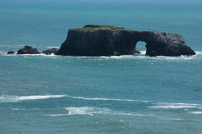 Small Group Redwoods, California Coast & Sausalito Day Trip from San Francisco - The Sum Up: Who Will Love This Tour?