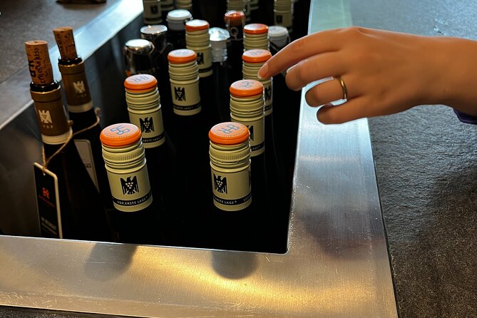 Small Group Rheingau Vineyards Tour Review - Tour Experience and Guide