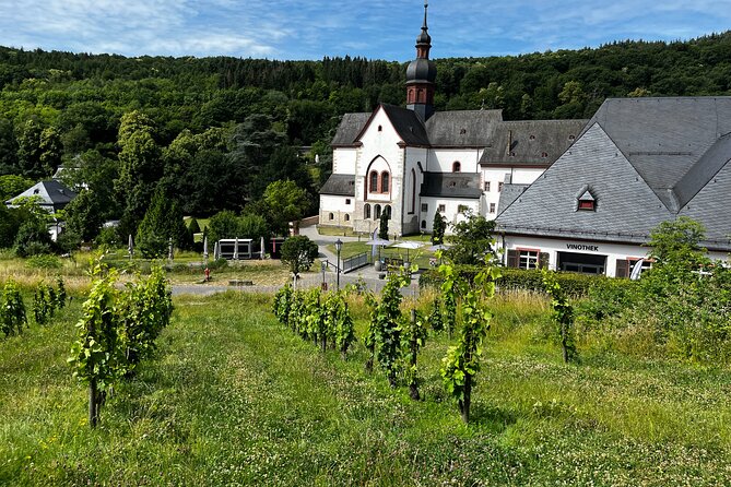 Small Group Rheingau Vineyards Tour Review - Wine Tasting and Lunch Experience