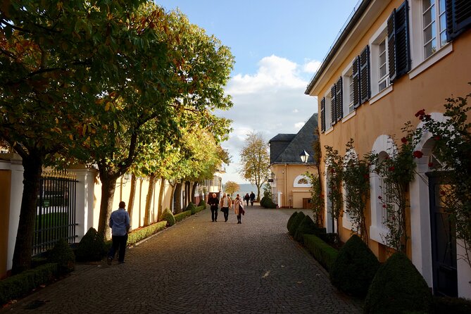 Small Group Rheingau Vineyards Tour with Castles and Abbeys - From Logistics to Value
