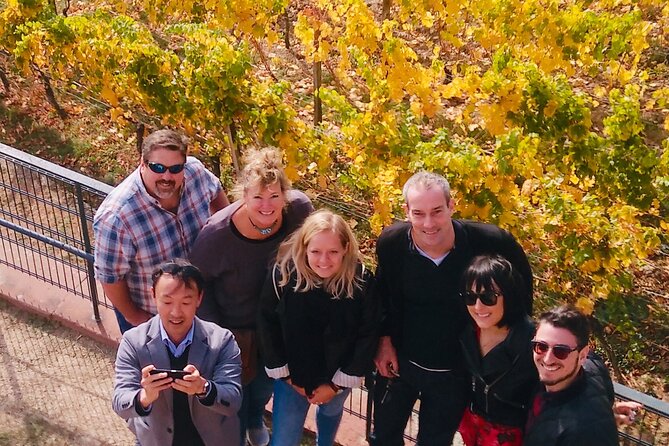 Small Group Rheingau Vineyards Tour with Castles and Abbeys - Who Should Consider This Tour?