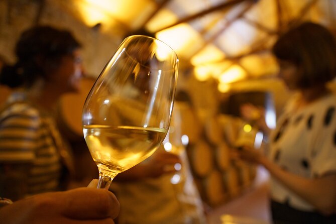 Small-Group Rioja Uncorked Tour from San Sebastian - A Balanced Look at the Small-Group Rioja Uncorked Tour from San Sebastian