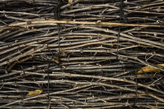 Small-Group Rioja Uncorked Tour from San Sebastian - The Practicalities: What to Expect