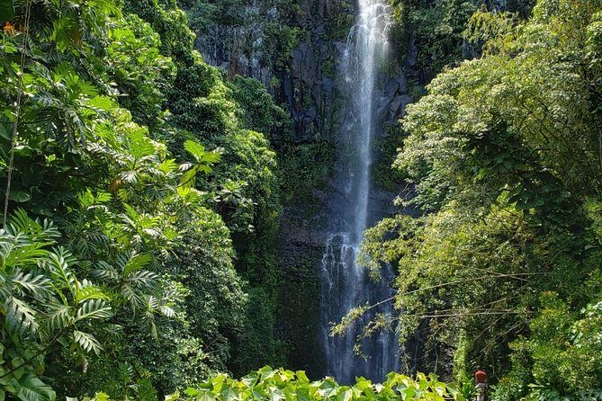 Small-Group Road to Hana Adventure Tour with Pickup & Lunch - Introduction