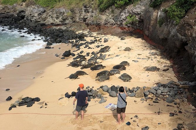Small-Group Road to Hana Adventure Tour with Pickup & Lunch - Transport and Group Size