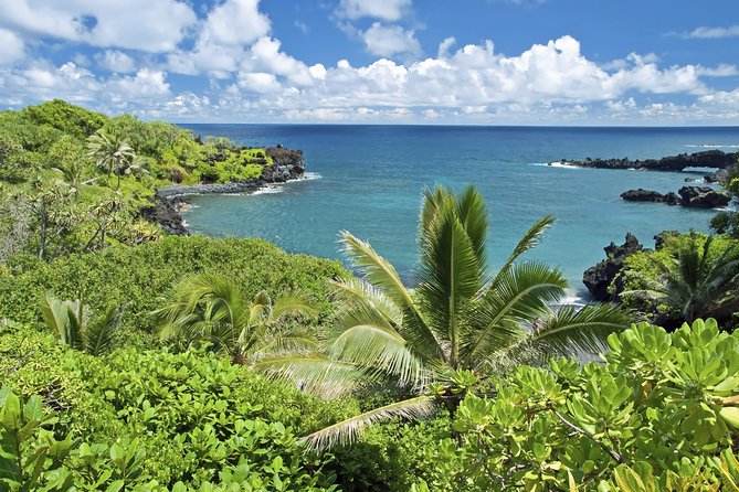 Small-Group Road to Hana Adventure Tour with Pickup & Lunch - Value and Pricing