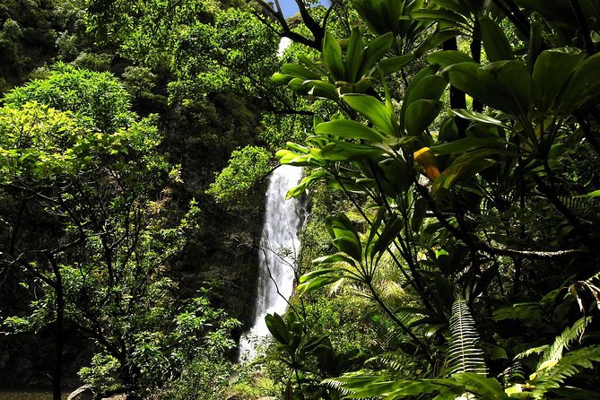Small-Group Road to Hana Luxury Tour - The Sum Up