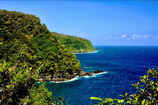 Small Group Road to Hāna Tour 6 to 8 passengers - Who Should Book This Tour?