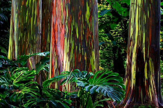 Small Group Road to Hāna Tour 6 to 8 passengers - FAQs