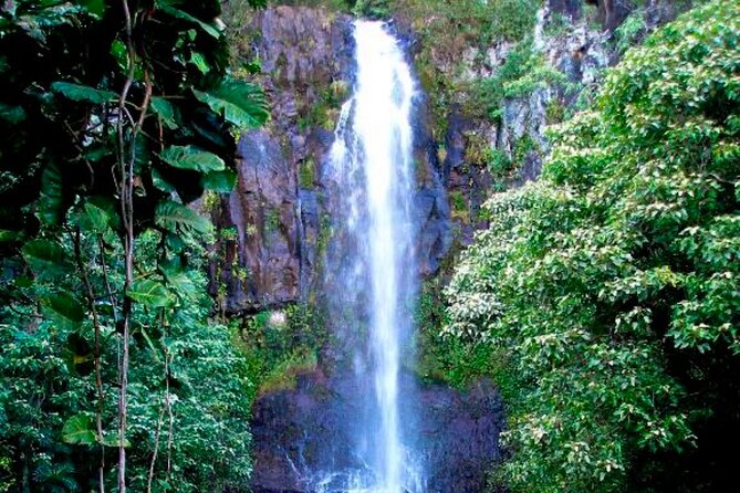 Small Group Road to Hāna Tour 6 to 8 passengers - Final Thoughts