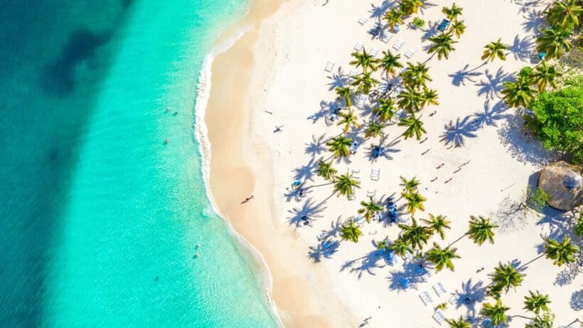 Small Group: Saona Island Full Day Tour Catamaran Open Bar - Analyzing the Value