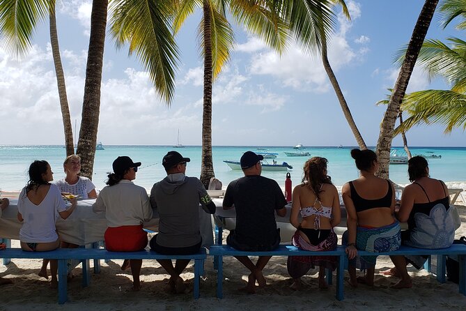 Small Group: Saona Island Full Day Tour - Introduction and Overview