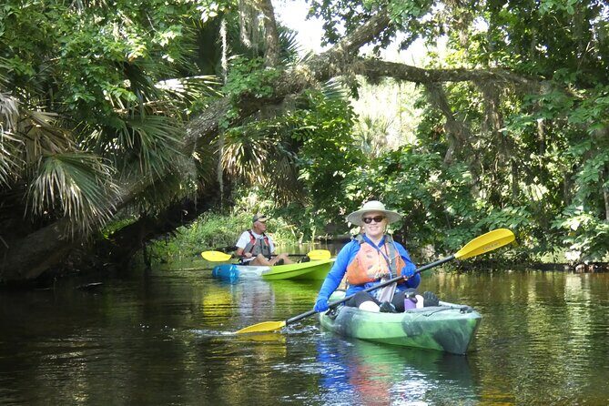 Small Group Scenic Wekiva River Kayak Tour near Orlando - Key Points