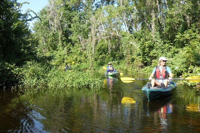 Small Group Scenic Wekiva River Kayak Tour near Orlando - What’s Included and What’s Not