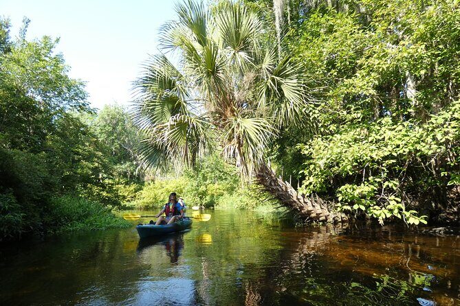 Small Group Scenic Wekiva River Kayak Tour near Orlando - Who Will Love This Tour?