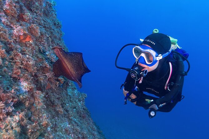 Small-Group Scuba Diving Adventure in Costa Brava - Key Points