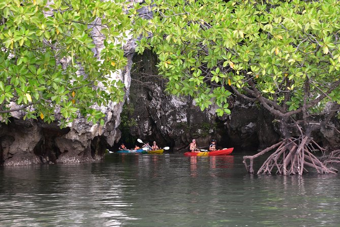 Small-Group Sea Kayaking in Ao Thalane Bay and Hong Island from Krabi - The Practicalities: What You Need to Know