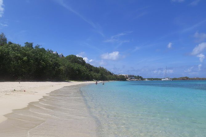 Small Group Sea Turtle Tour (Guaranteed to see turtles) - The Intimate Group Dynamic