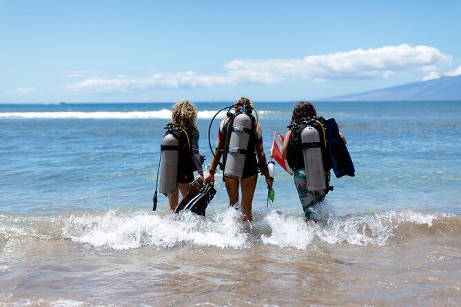 Small-Group Shark and Turtle Dive for Certified Divers - Meeting Point and Logistics
