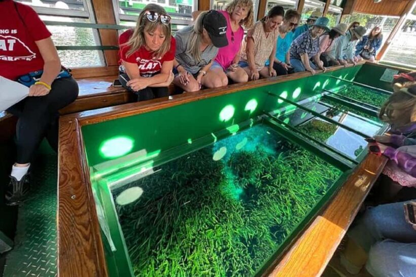 Small Group Silver Springs State Park Day Tour from Orlando - Who Would Enjoy This Tour?