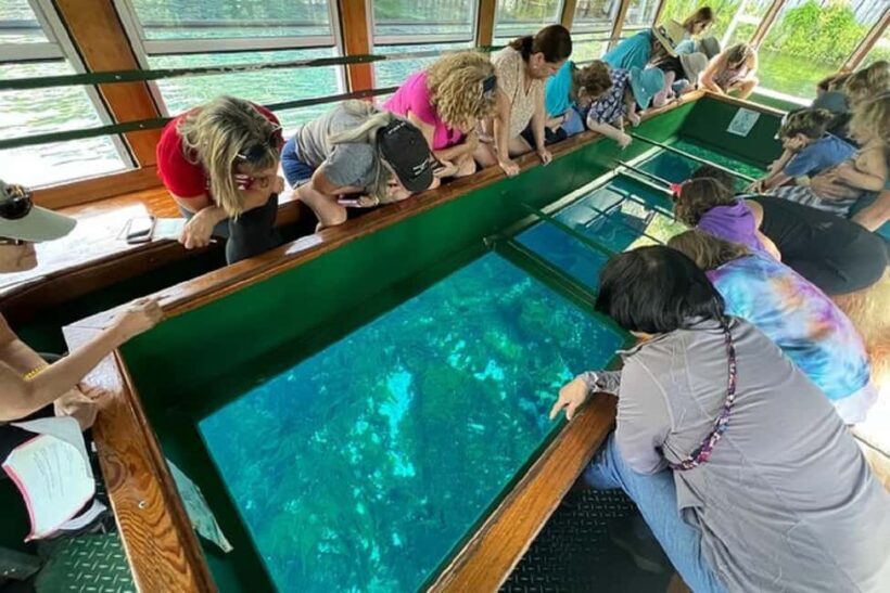 Small Group Silver Springs State Park Day Tour from Orlando - The Sum Up