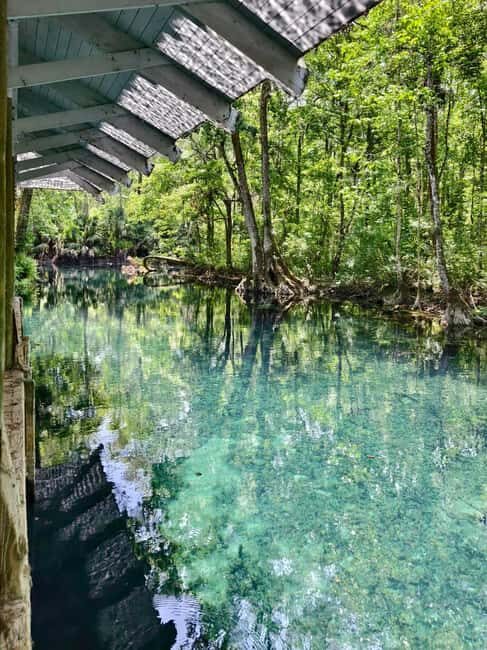 Small Group Silver Springs State Park Day Tour from Orlando - FAQ