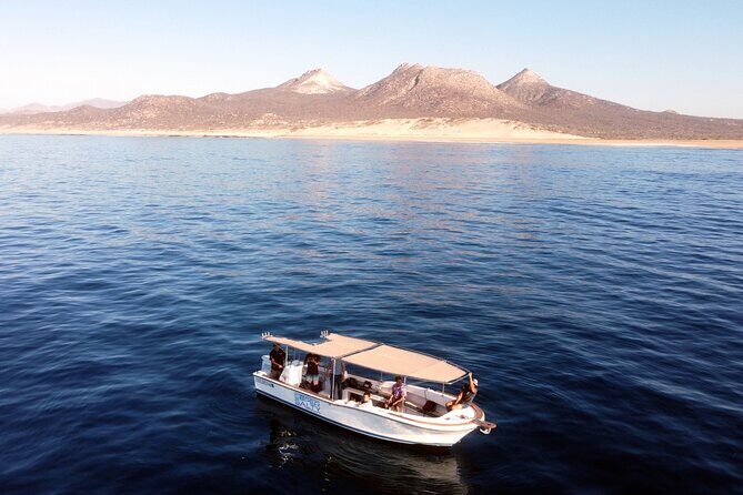 Small-Group Snorkel Adventure in San Jose del Cabo - The Sum Up