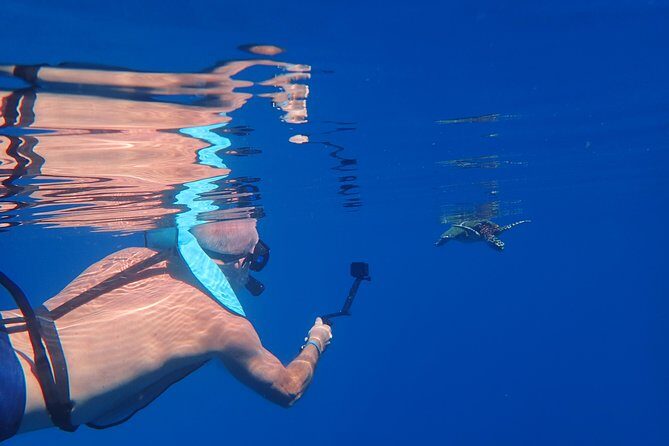 Small group snorkeling (5 people max): Turtles at 7:30am - Authentic Encounters and Expert Guidance